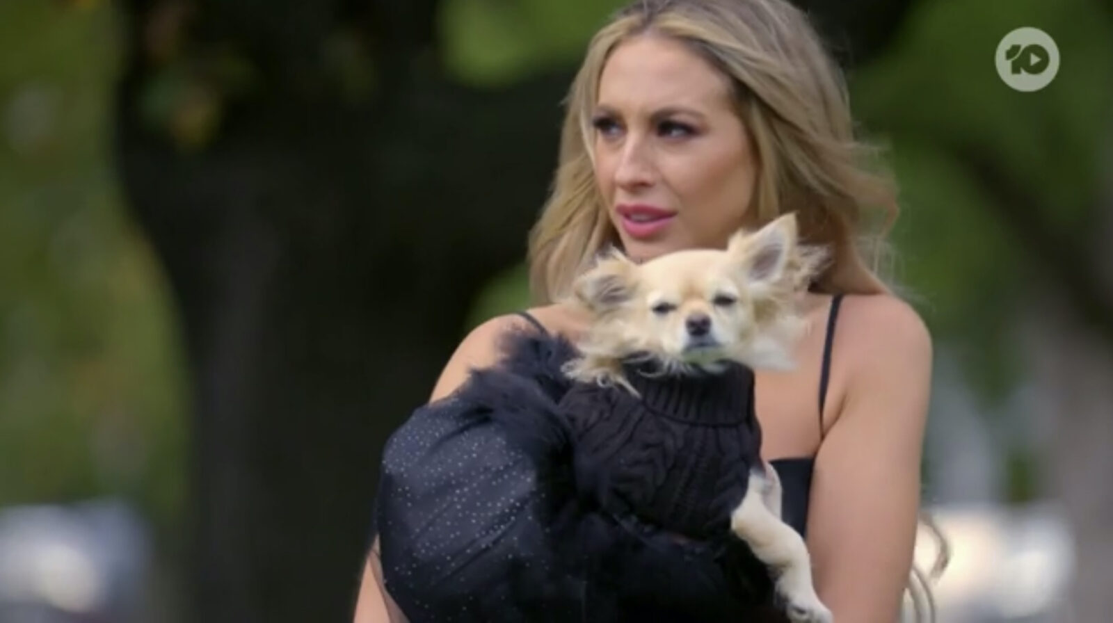The Bachelors 2023 stars think Tash was PLANTED by producers